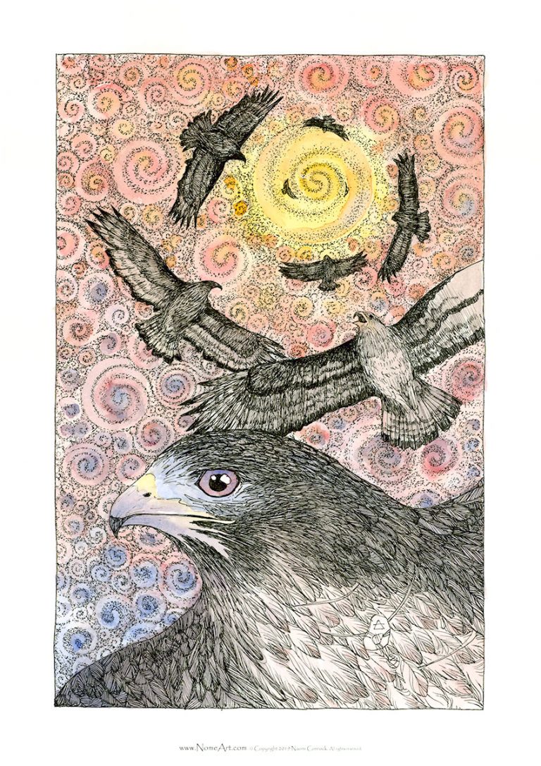 Buzzard - Art of Naomi Cornock