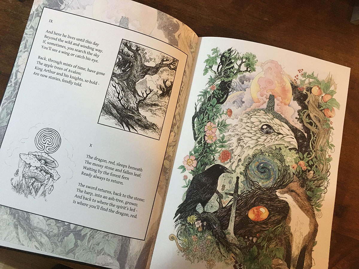 Duelling Dragons Book - Art of Naomi Cornock
